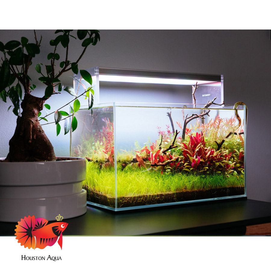 Aquatic Tank (PICK UP ONLY) – Houston Aqua