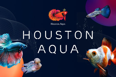 Houston Aqua - Tropical Fish Store