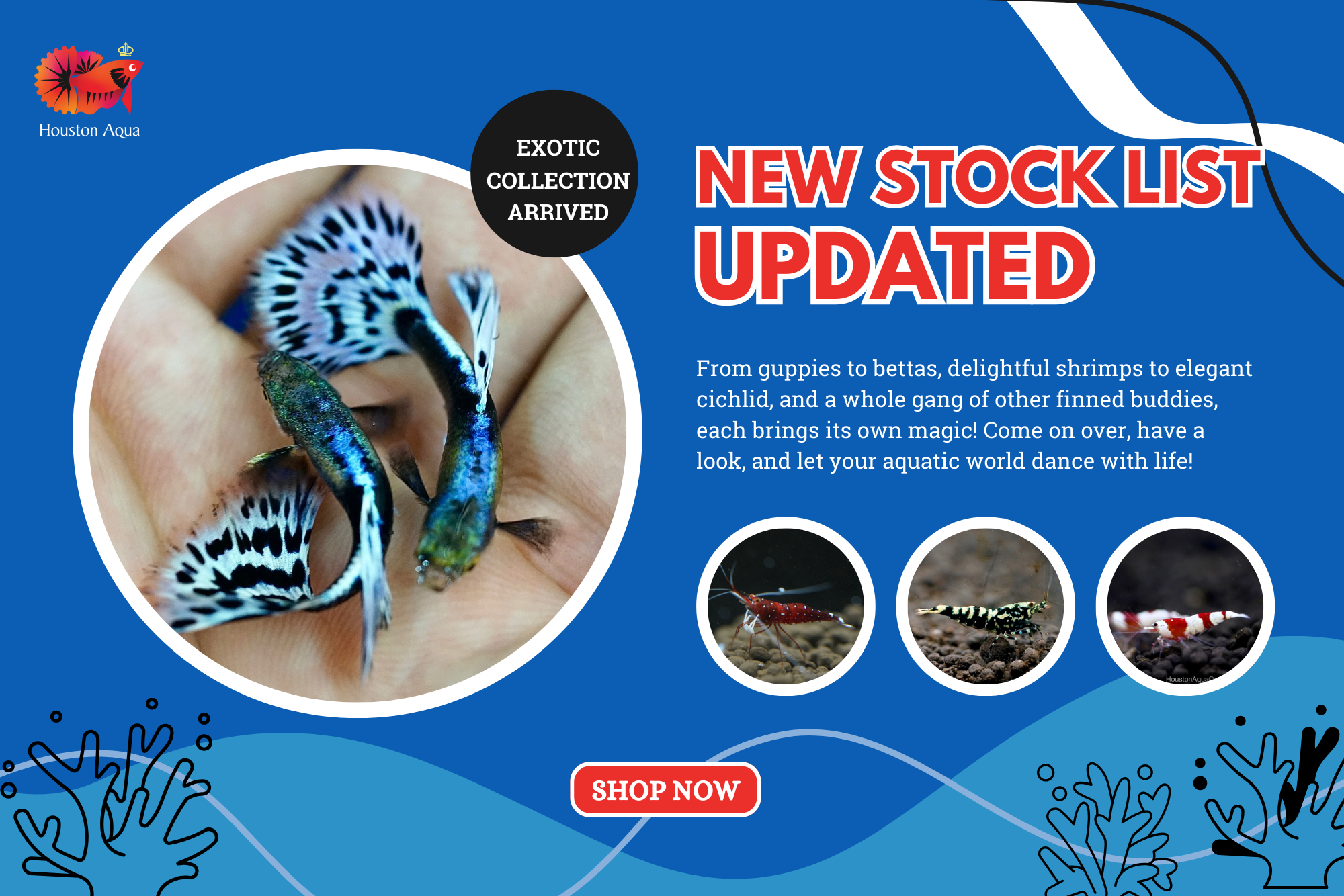 Houston Aqua - Tropical Fish Store