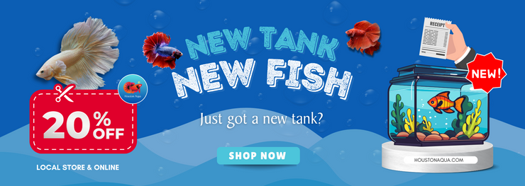 Houston Aqua - Tropical Fish Store