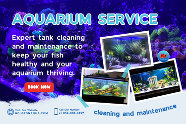 Houston Aqua - Tropical Fish Store