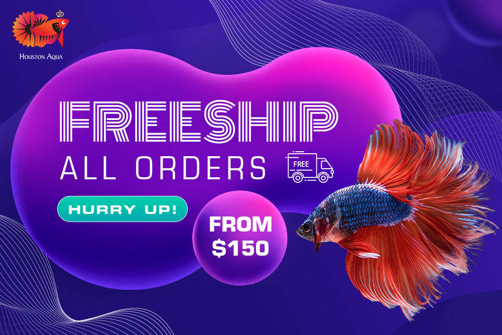 Houston Aqua - Tropical Fish Store